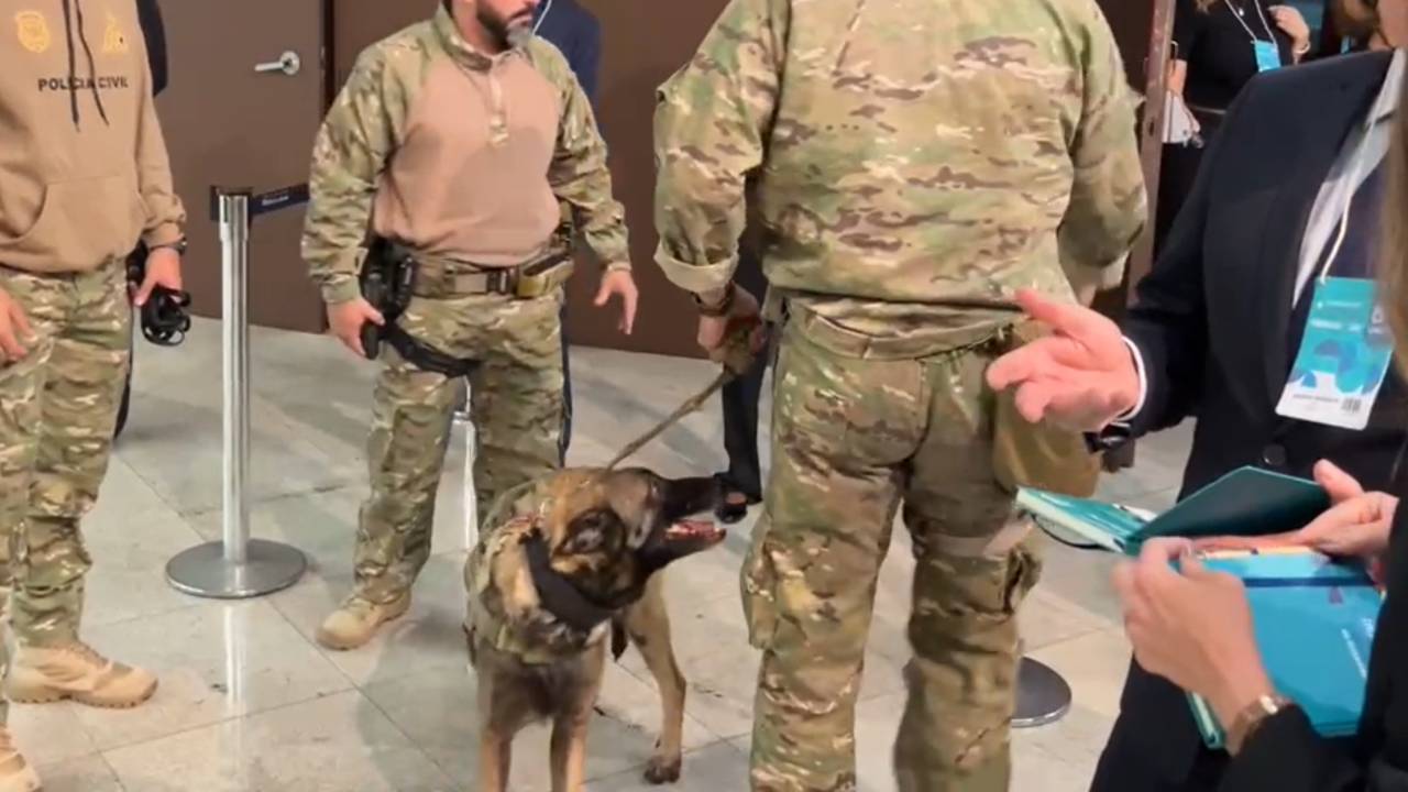 Evento com Barroso em SP teve cão farejador de bombas na segurança ...