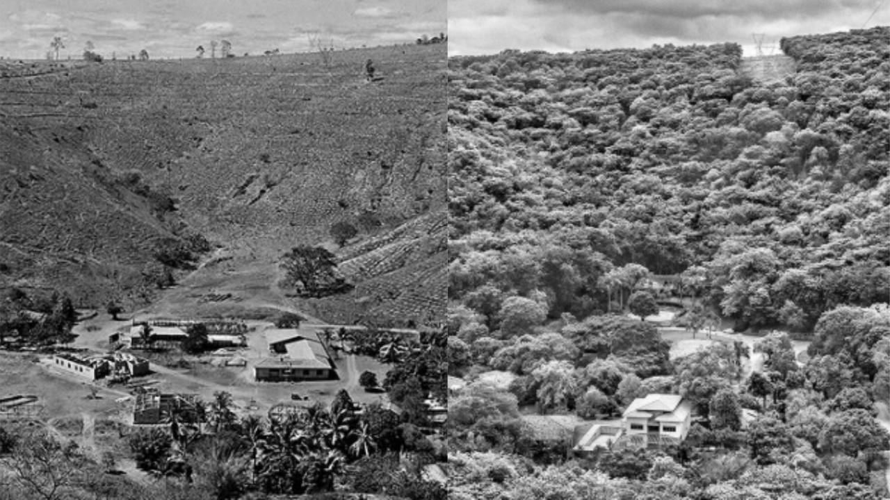 Morre Sebastião Salgado aos 81 anos, um gigante da fotografia mundial ...
